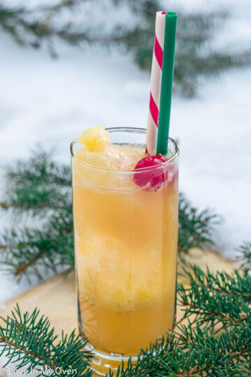 Boozy Christmas Slush - Love In My Oven