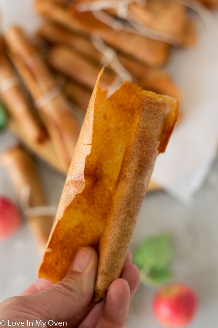 Apple Fruit Leather - Love In My Oven