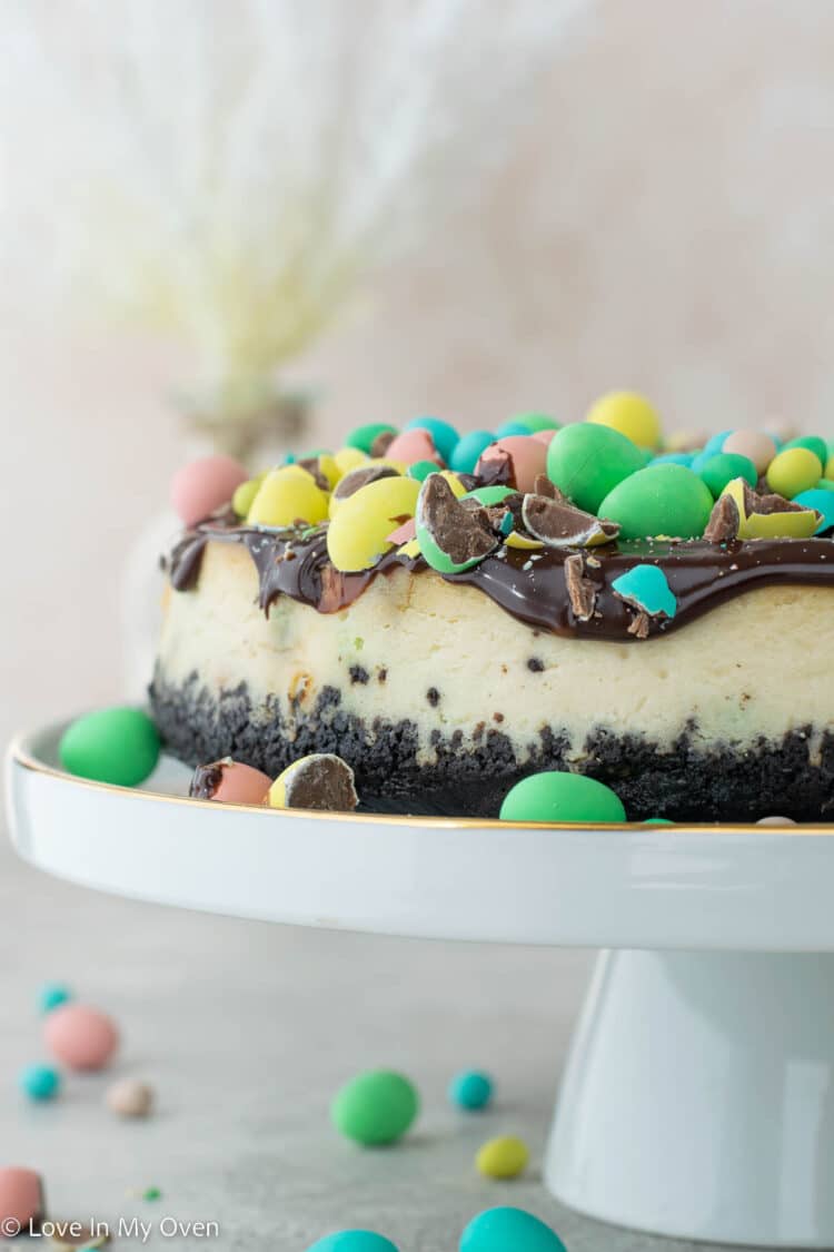 Mini Egg Cheesecake - Love In My Oven