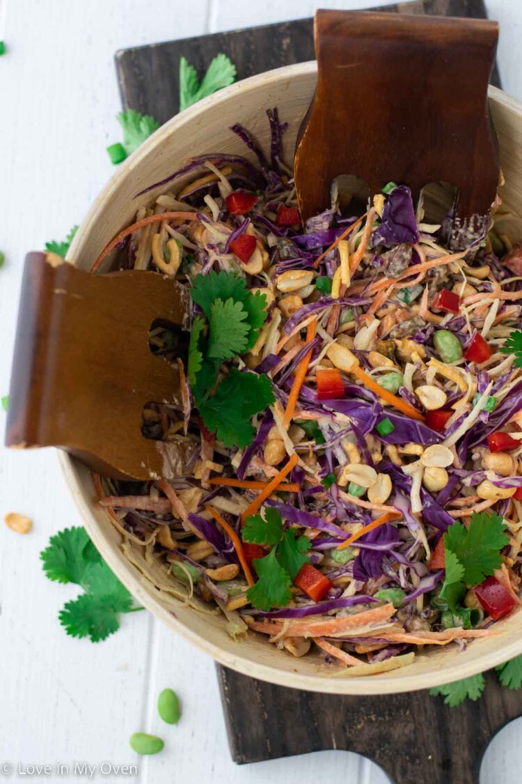 Asian Crunch Salad - Love In My Oven
