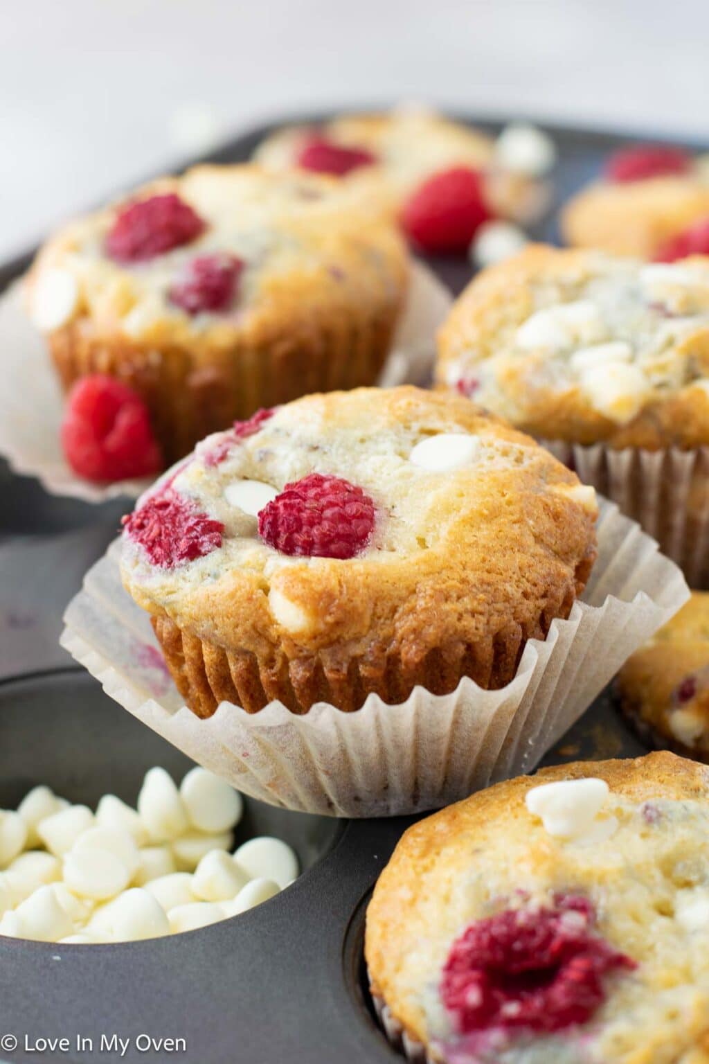 Raspberry White Chocolate Muffins - Love In My Oven